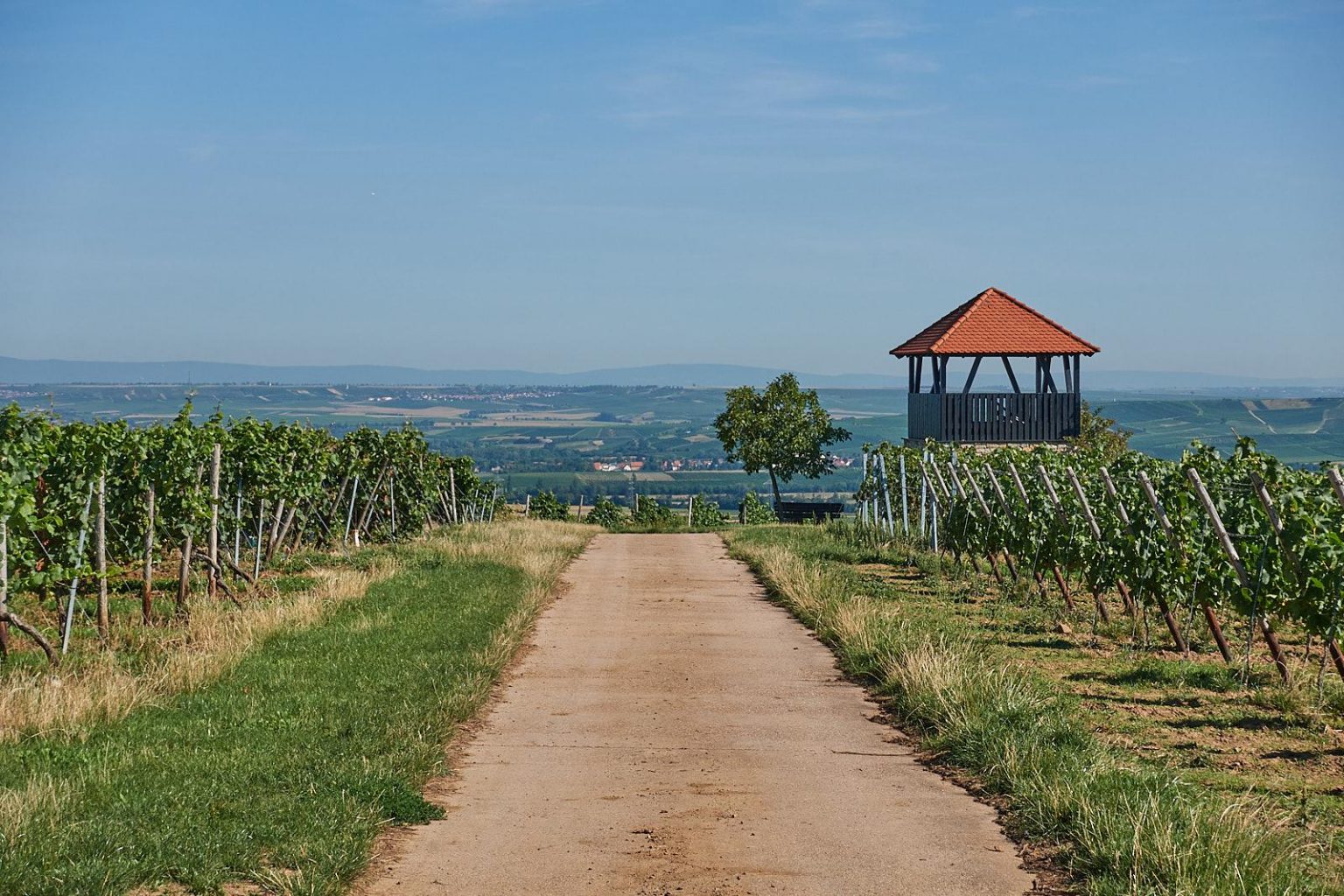 Ein Wandertag in Flonheim und auf der Hiwweltour Aulheimer Tal ...
