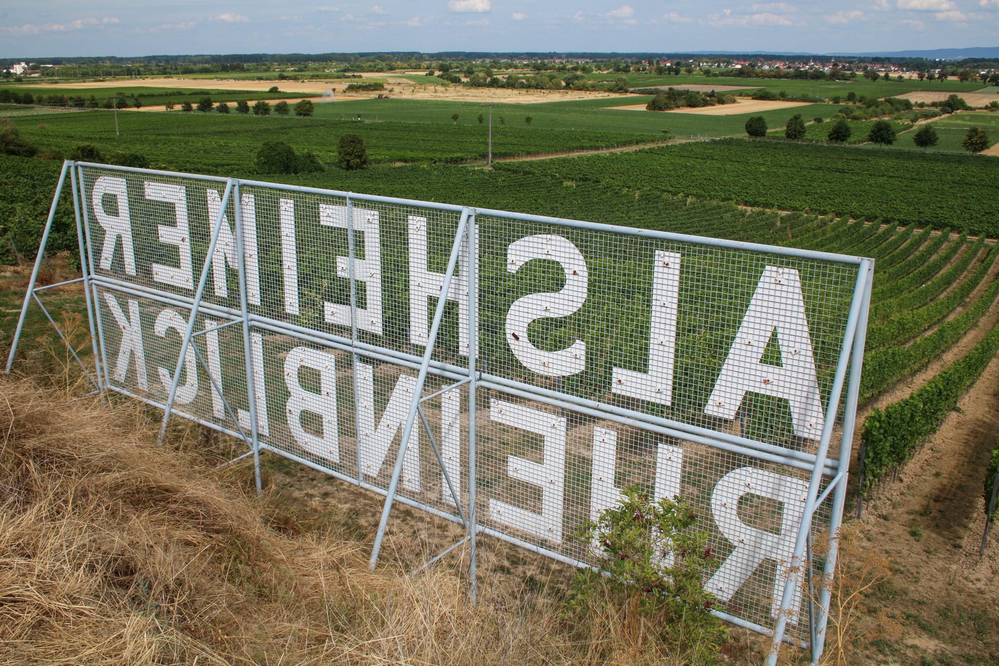 Auf dem RheinTerrassenWeg: Das Hohlwegeparadies bei Alsheim ...