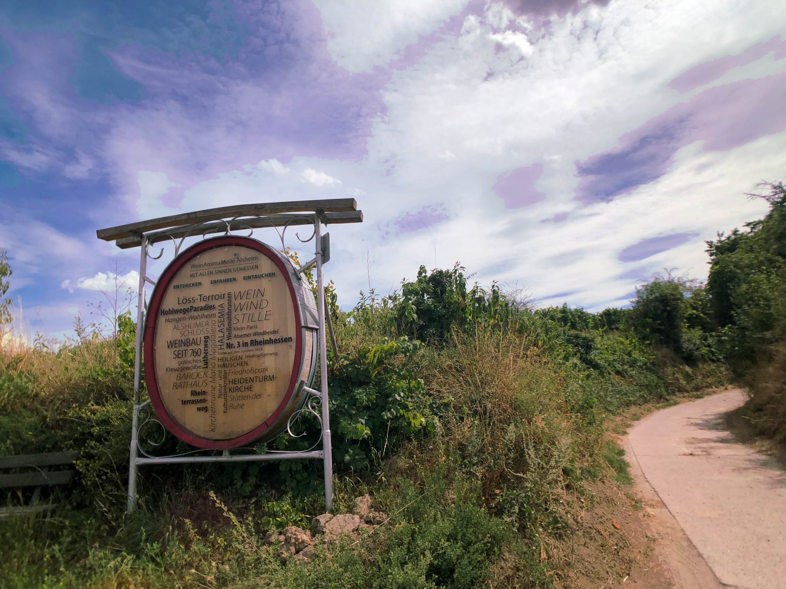Auf dem RheinTerrassenWeg: Das Hohlwegeparadies bei Alsheim ...