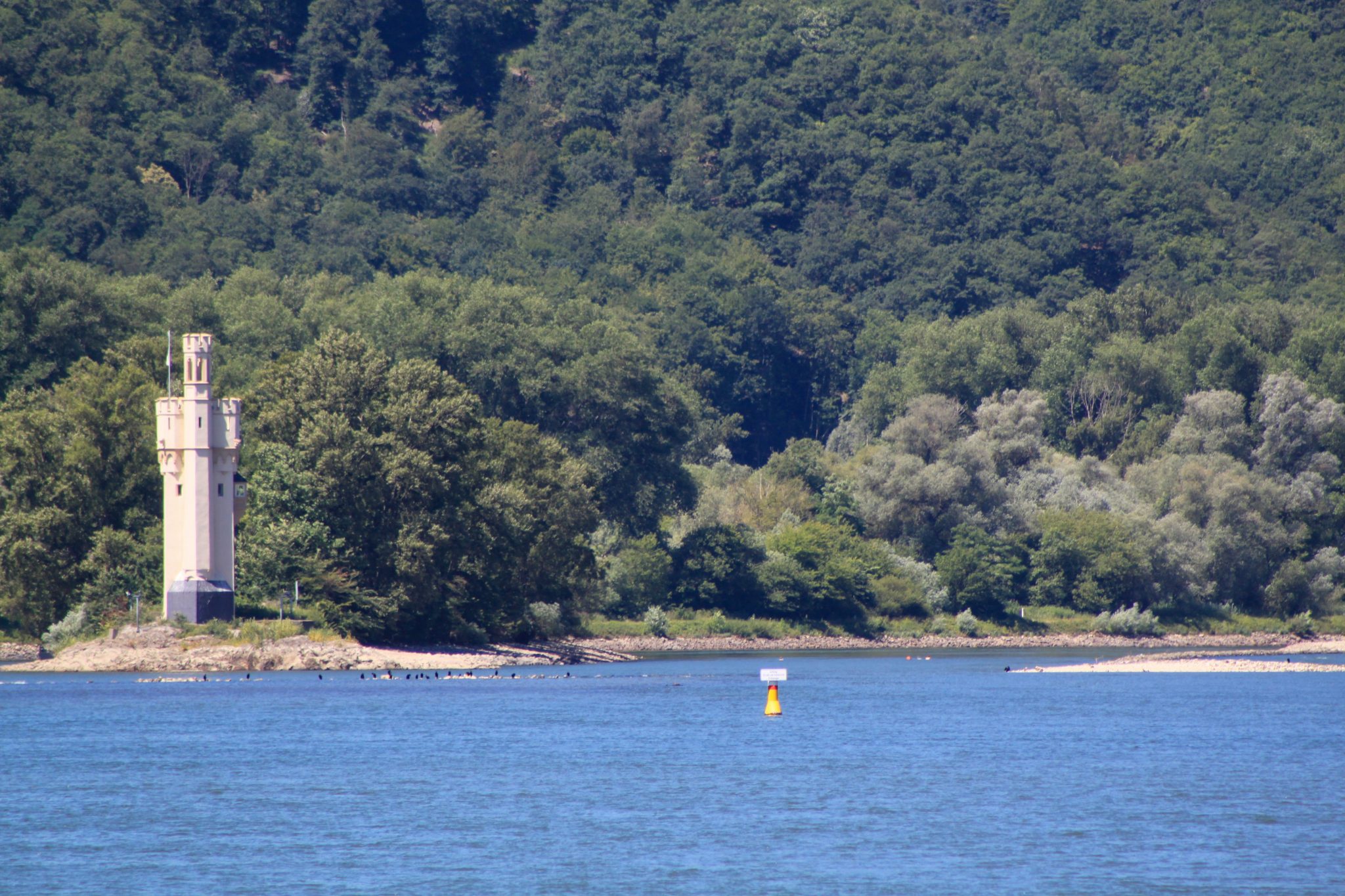 The culture bank in Bingen: A walk between the Rhine and the sea of ...