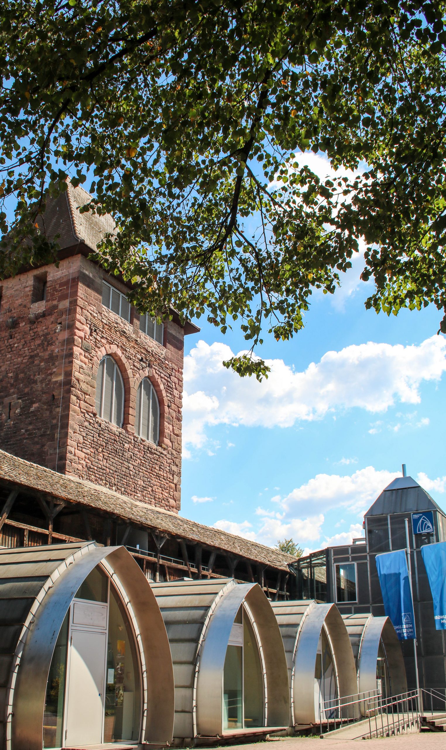 5 Gründe für eine Wanderung auf dem RheinTerrassenWeg - Rheinhessen-Blog