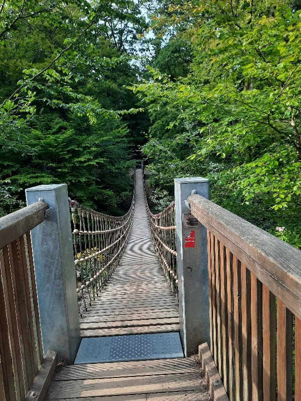 Der Erlebnispfad Binger Wald – eine Wanderung für alle Sinne ...