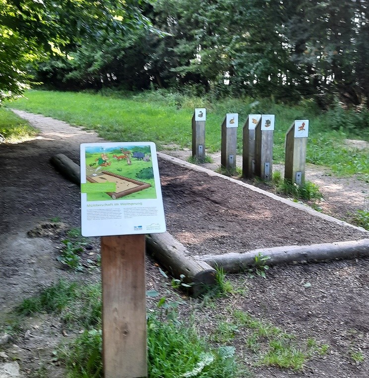 Der Erlebnispfad Binger Wald – eine Wanderung für alle Sinne ...