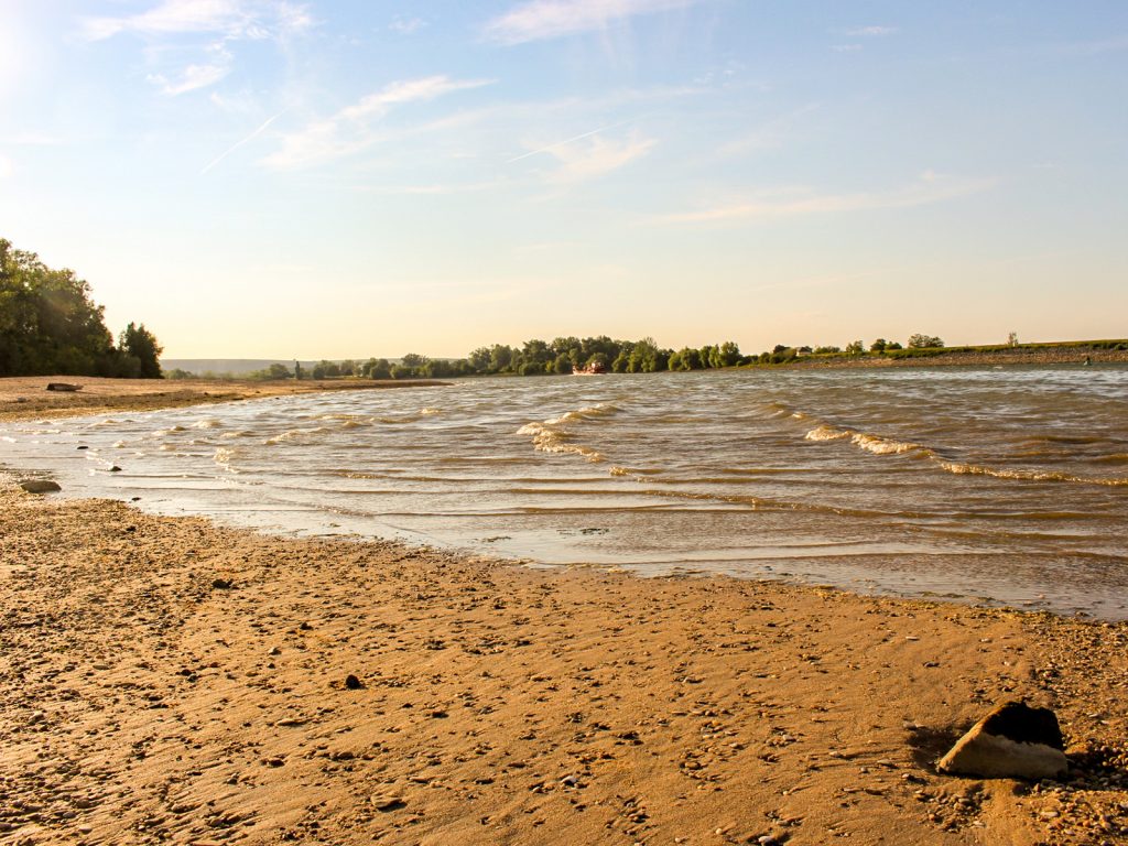 5 Rheinmomente zum Verlieben - Rheinhessen-Blog