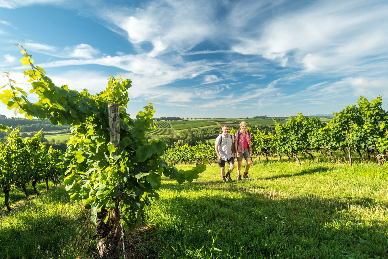 Die Hiwweltour Neuborn: Wandern zwischen Wein & Weitblick - Rheinhessen ...