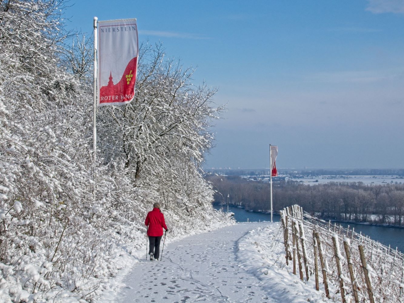 Winterwandern am Roten Hang: Weinerlebnis in Rheinhessen