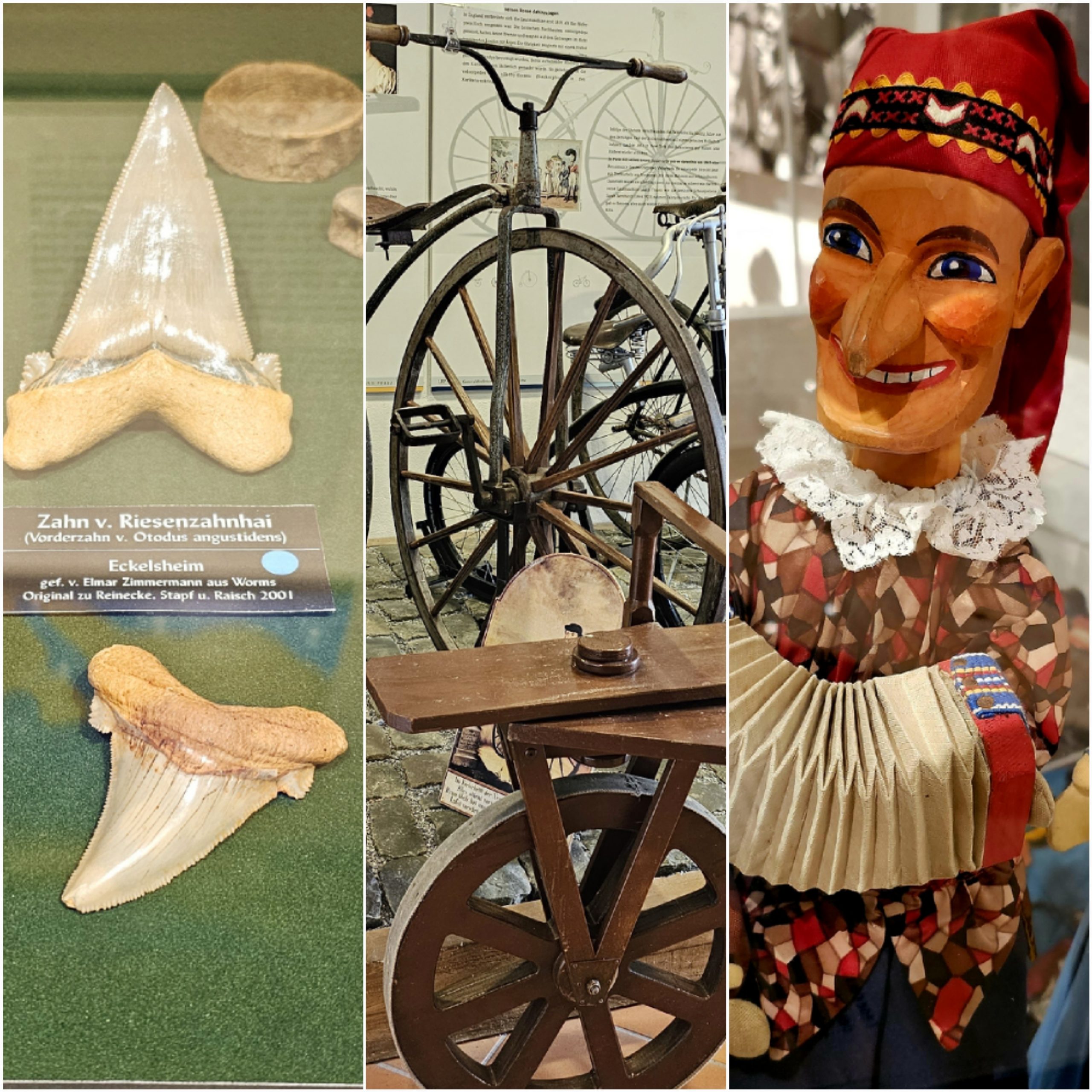 Three special museums in Rheinhessen